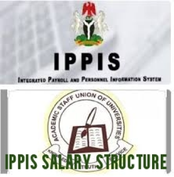 IPPIS Salary Structure - Career Guide