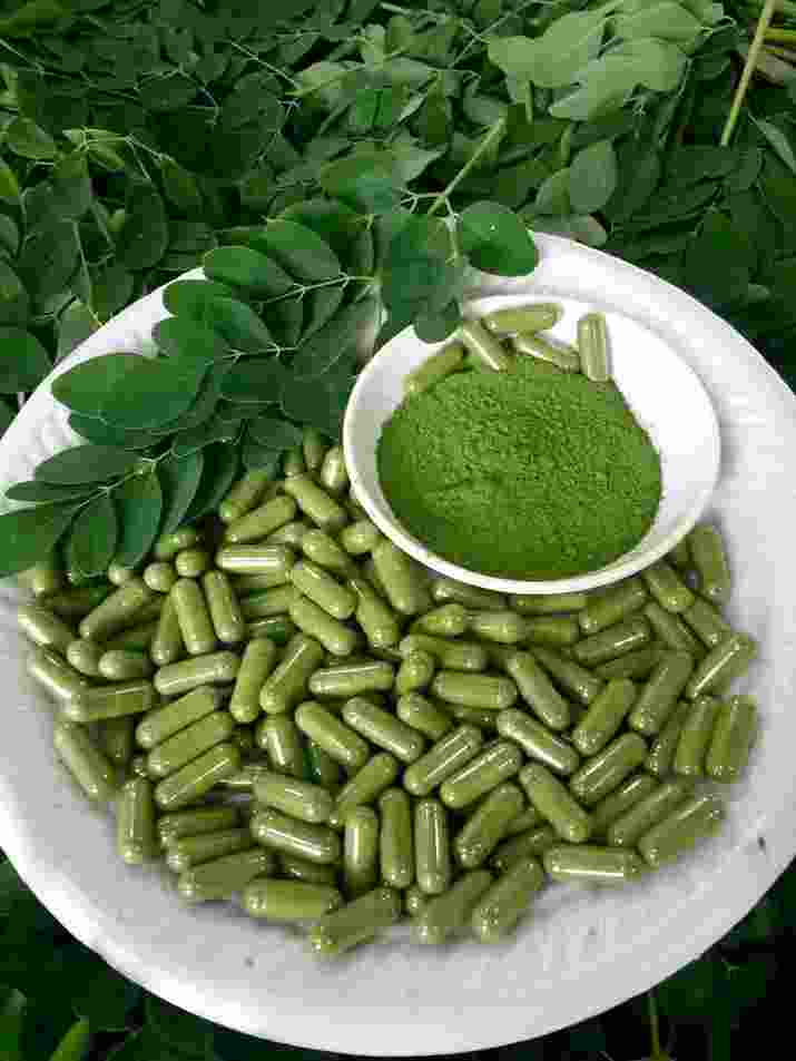 List of 300 Disease Moringa Can Cure - Career Guide