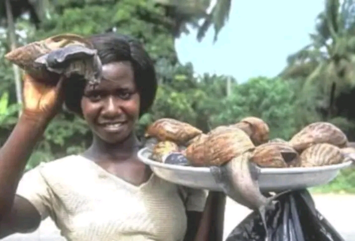 Guide to Starting Snail Farming at Home - Career Guide