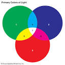 Understanding Primary Colors: The Foundations of Color Theory - Career ...
